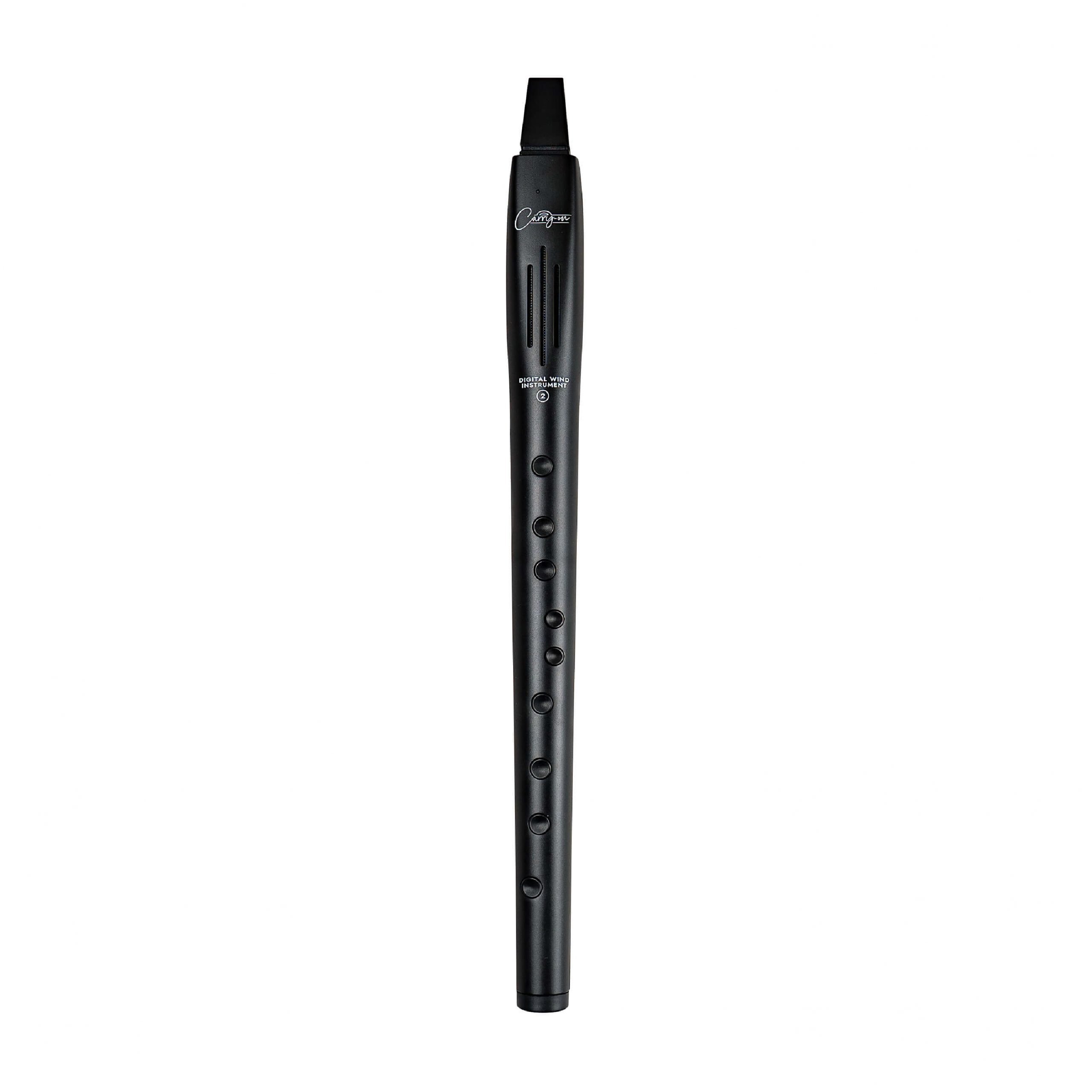 Carry-on by Blackstar Digital Wind Instrument 2 Black | Frakt fra 79,-